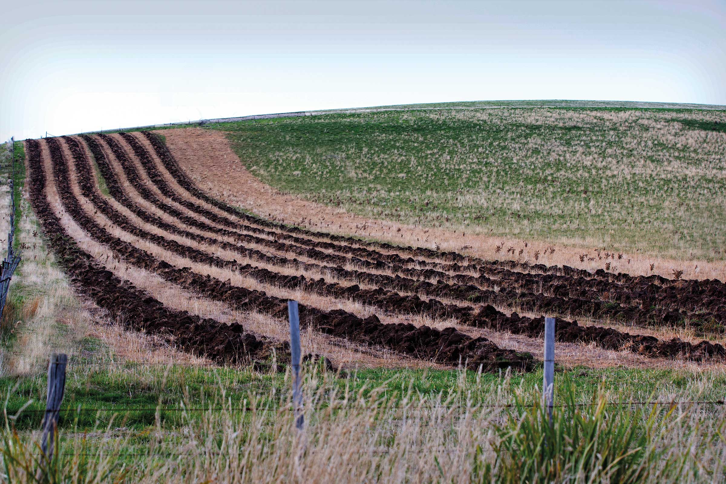 ActivAcre | The Program